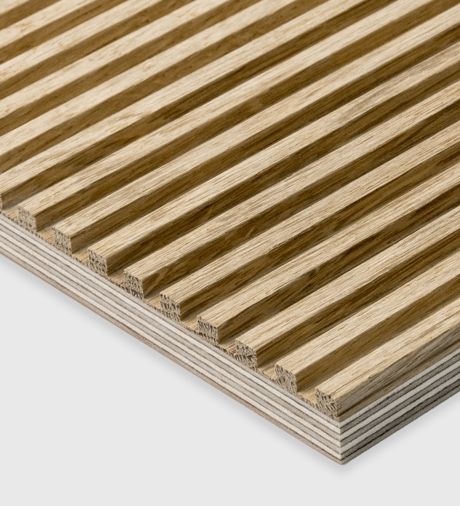 Asolo | The Surface Studio